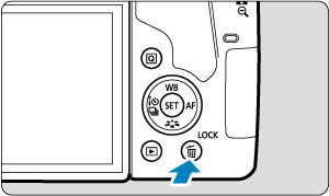 EOS REBEL T8i: Creative Zone