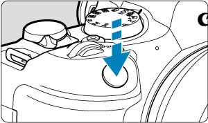 EOS R6 Mark II: A+: Fully Automatic Shooting (Scene Intelligent Auto)