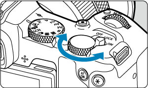 EOS R8: Beginner's Guide