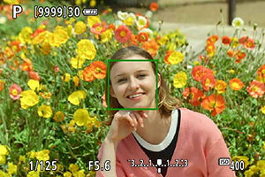 EOS REBEL T8i: Viewing the Screen as You Shoot (Live View Shooting)