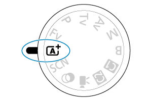 EOS R10: A+: Fully Automatic Shooting (Scene Intelligent Auto)