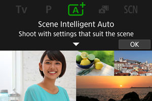 EOS R50: A+: Fully Automatic Shooting (Scene Intelligent Auto)