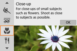 How to use Close-up Mode on the EOS M50 Mark II.