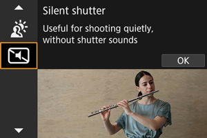 Silent Shutter Mode on the EOS R50