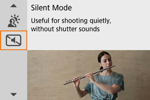 EOS R100: Silent Shutter Mode