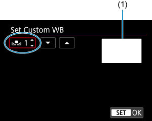 WFT-E9: Direct Transfer