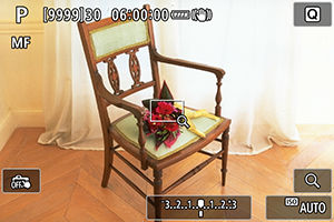 EOS R7: Manual Focus