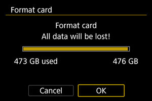 PowerShot V10: Card Formatting
