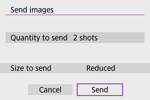 EOS R100: Sending Images to a Web Service