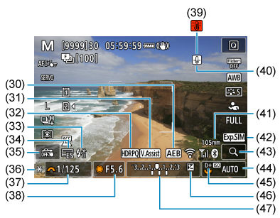 EOS R5: Information Display