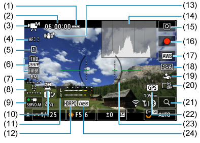 EOS R6 Mark II: Information Display