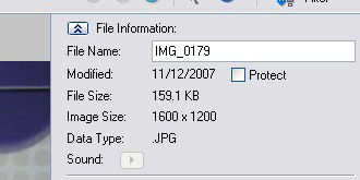 Renaming an image using ZoomBrowser EX ver. 6.x