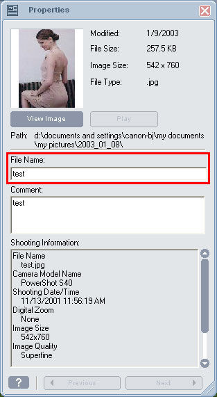 How to include comments, file names, and dates when printing with ...