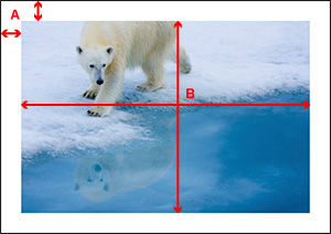 Professional Print & Layout - Adjusting Margins (Windows)