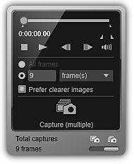 Video Frame Capture View in My Image Garden (Windows)