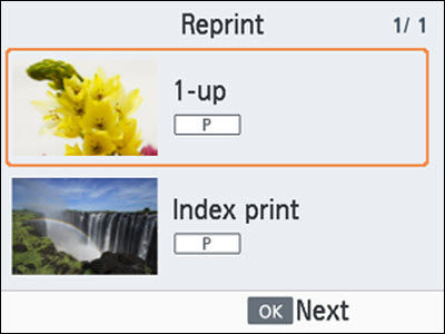 More Print Options (Print from a Memory Card) - CP1500