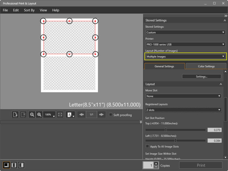 Printing Multiple Images on a Single Sheet - Professional Print & Layout