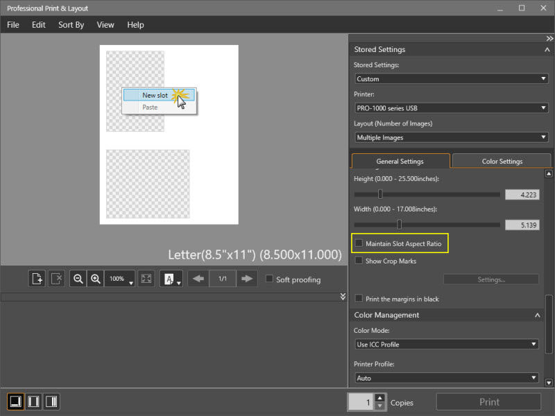 Printing Multiple Images on a Single Sheet - Professional Print & Layout