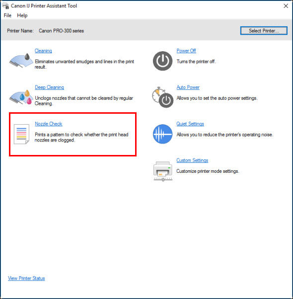 Print a Nozzle Check Pattern from a Windows PC - PRO-300