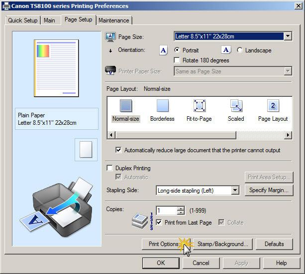 How Do I Print With Only the Black or Color Inks? - TS8120