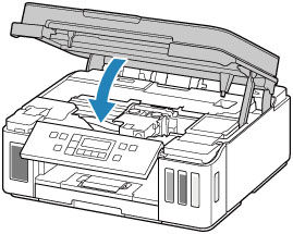 Reseat / Replace the Print Head - G6020