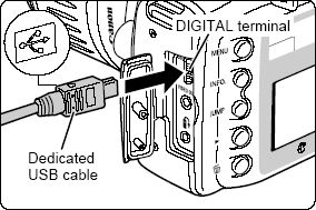 How to connect the EOS Digital Rebel, EOS 20D, and EOS 30D to a computer.