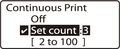 Printing a Specific Page Multiple Times (Continuous Print) - Mk2600