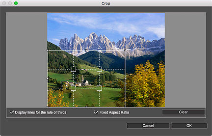 Professional Print & Layout - Crop Window (macOS)