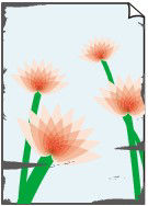 Smudged and Scratched Prints - PIXMA MX892