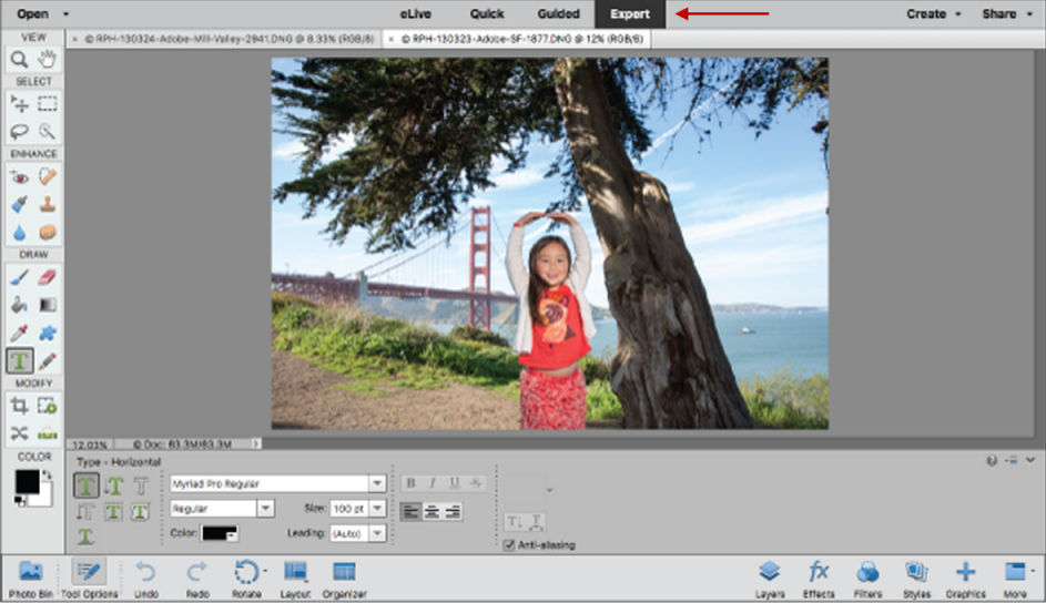Why Can't I Open Print Studio Pro in Photoshop Elements 14?