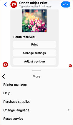 Printing Pictures from Facebook Messenger