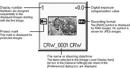 How to use File Viewer Utility.