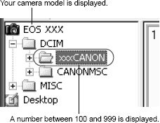 How to use File Viewer Utility.