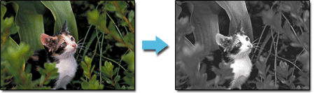 Printing images in Grayscale - Easy-PhotoPrint Pro