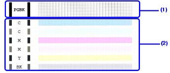 Print Nozzle Check Pattern iP100 (Windows)