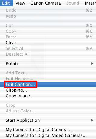How to add text, headers, or captions using ImageBrowser
