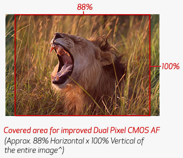 Dual Pixel CMOS AF Performance on the EOS R