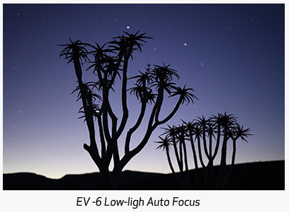 Dual Pixel CMOS AF Performance on the EOS R