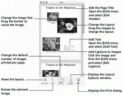 Procedure for printing from ImageBrowser