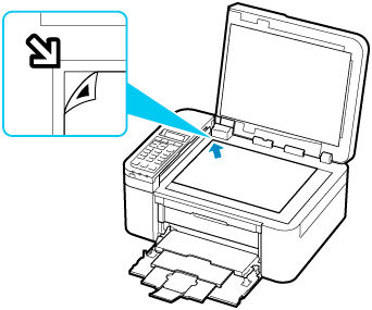 Support Code 2901 Appears - TR4520