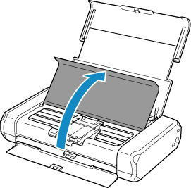 Removing / Reseating the Print Head - TR150