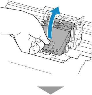 Reseat / Replace the Print Head - G7020