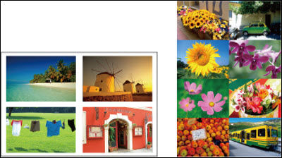 Print Settings - CP1500