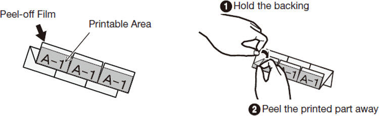 Printing on Wrap around Tape (Turning on Power / Entering Characters ...