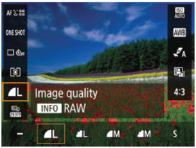 Quick Control Screen SX70 HS