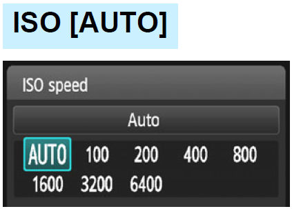 ISO: Changing the ISO Speed to Suit the Light Level (EOS Rebel T7)