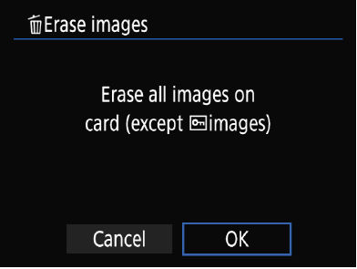 Erasing Images SX70 HS