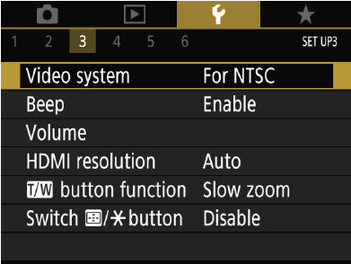 Setting the Video System SX70 HS