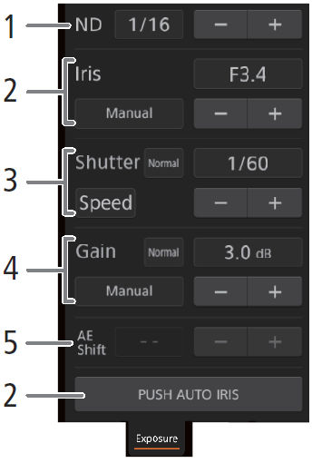 Browser Remote: Controlling the Camcorder from a Network Device XF705 ...