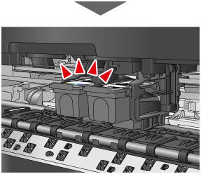 Welcome to Canon Canada Support!